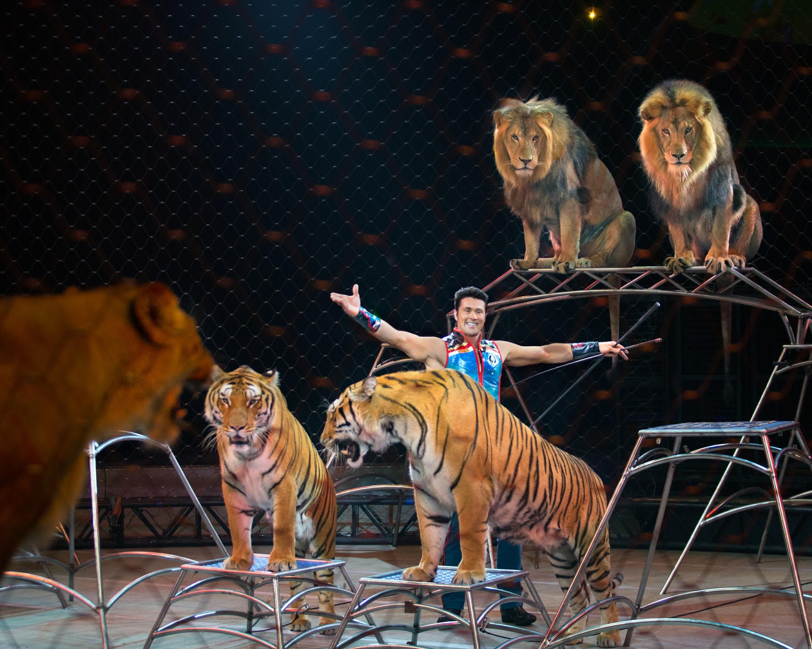 Showbiz David: MY LAST FULL-RINGLING CIRCUS REVIEW: Heavy Scripting at ...