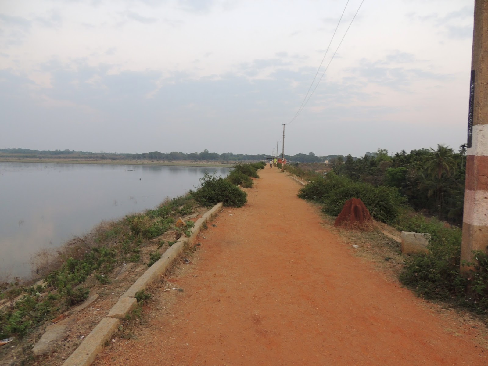 Driving Holidays From Bangalore: Hesaraghatta Grasslands