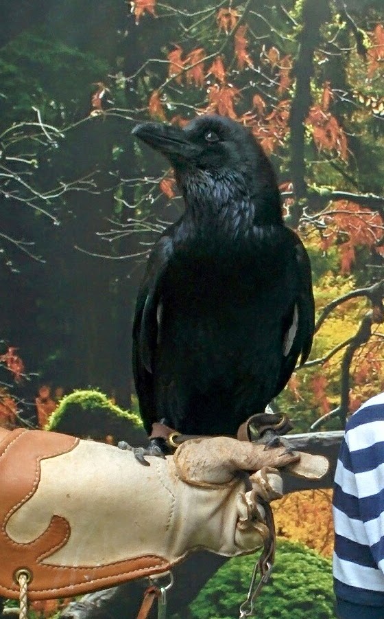 Maléfica: La exposición ~ Con tacones de charol