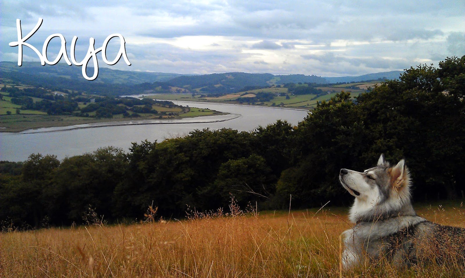 Utonagan - 'Spirit of the wolf': Kaya - Utonagan