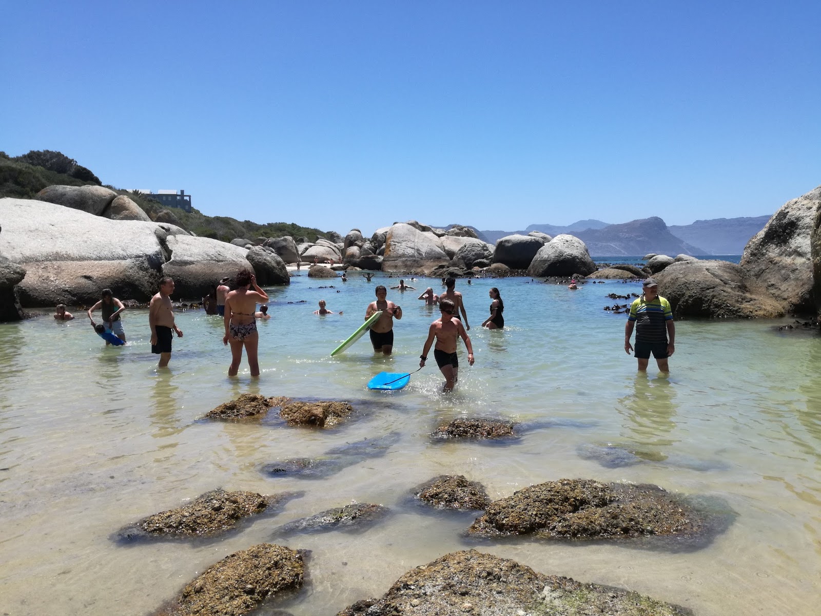 Keiptauna: Āfrikas pingvīni - Keiptauna