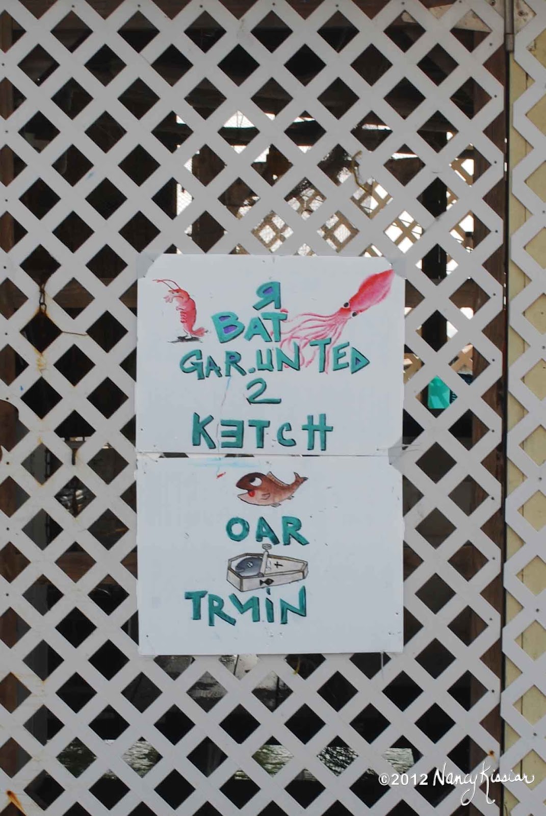 Wild About Texas: What's Biting? The Fulton Harbor Bait Stand