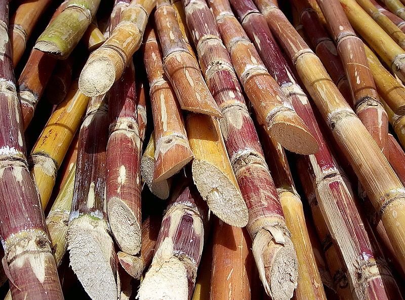 We love Our Bangladesh: Sugar cane(Aakh/Ikkhu/Gendari/Kushor) a source ...