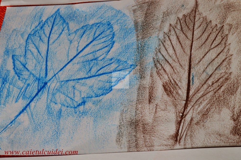 Activitati practice cu frunze: desenam prin hasurare - CAIETUL CU IDEI