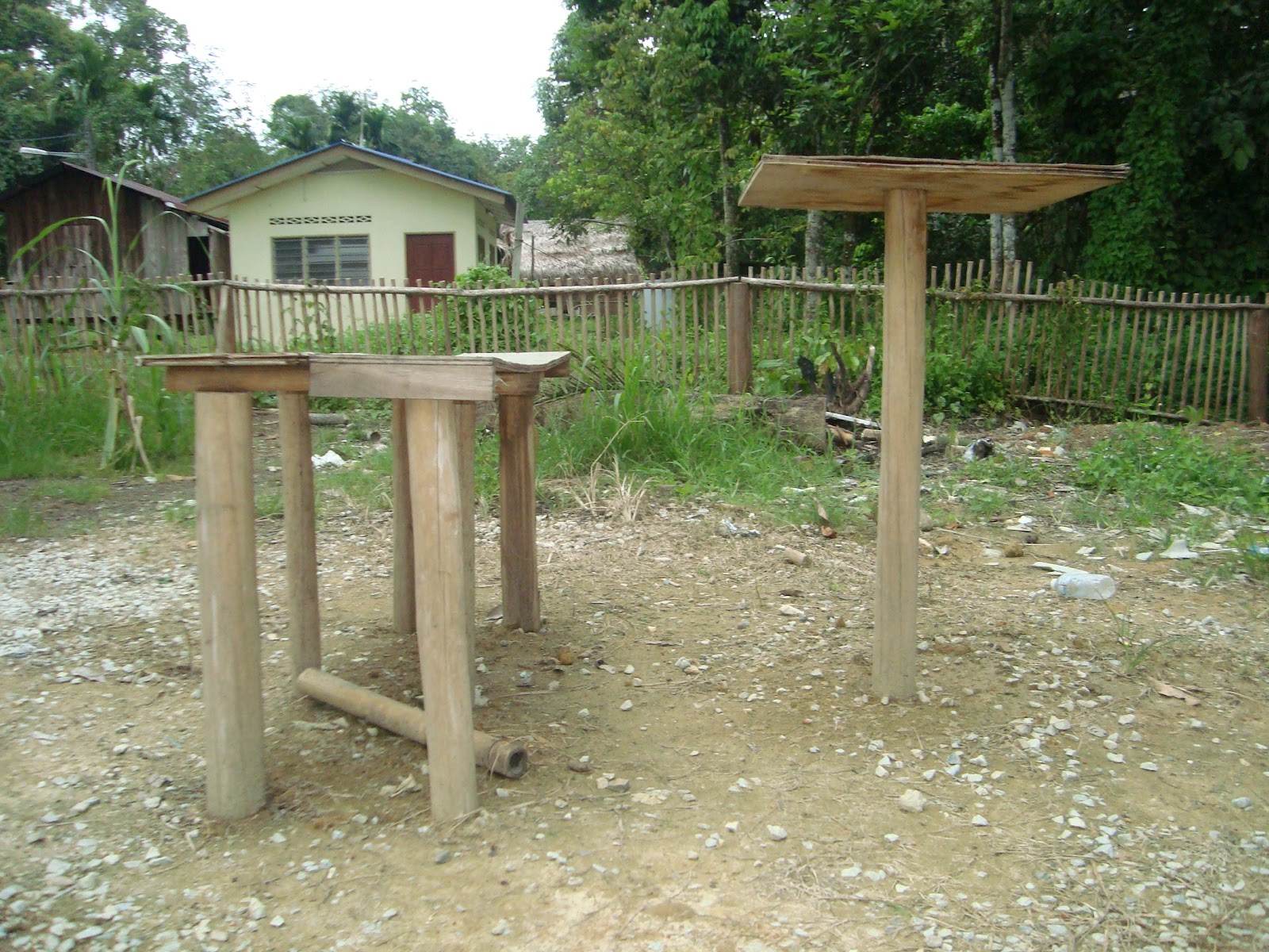 Zainatul Shuhaida: LATAR BELAKANG ORANG ASLI CHE WONG