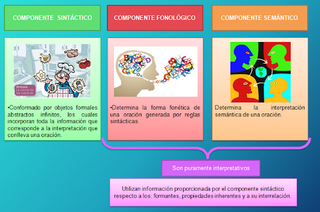 La organización de una gramática generativa ~ Lingüística