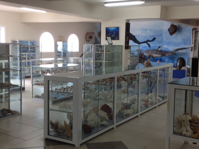 The Smarties Science Club: Sea Shell Museum, Corfu, Greece