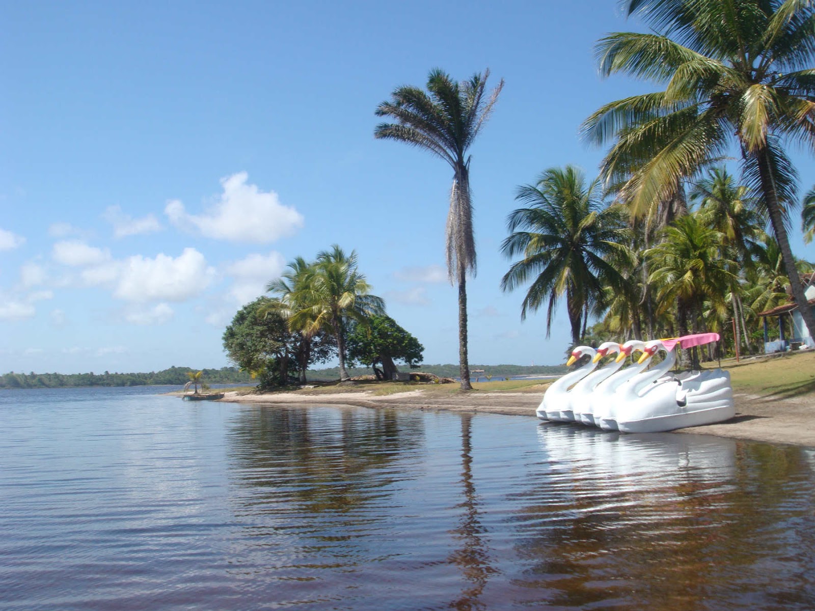 Dicas de viagem para Barra Grande - Bahia - Renata Viaja...