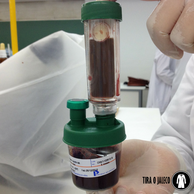 Hemocultura - Sistema Hemobac Trifásico (Probac do Brasil®) - Tira o Jaleco