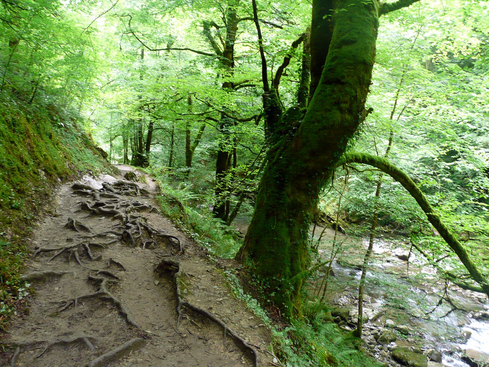 viajar a ratos: Larrau en el Pirineo francés