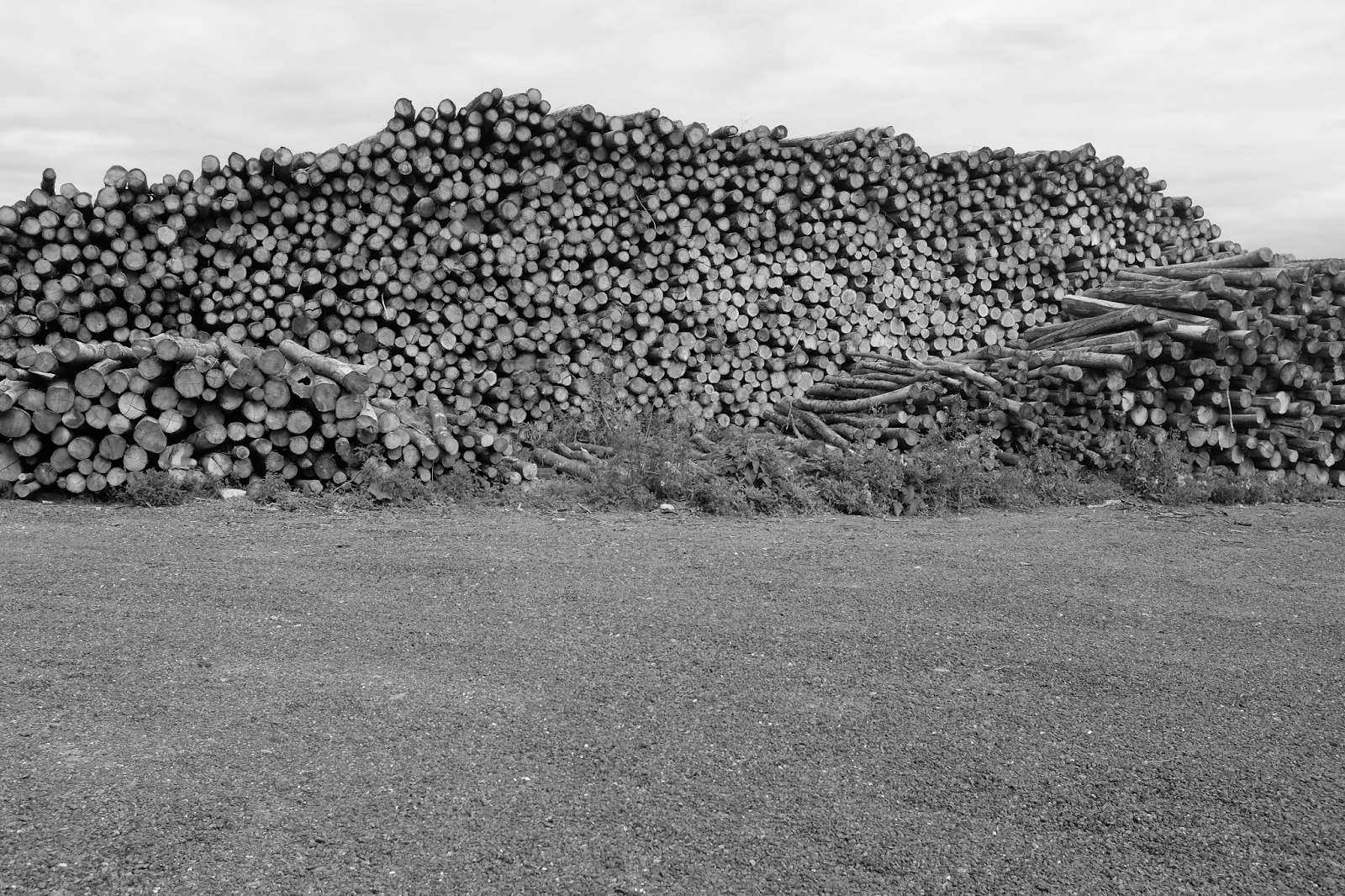 The London Log Company: We Have Wood