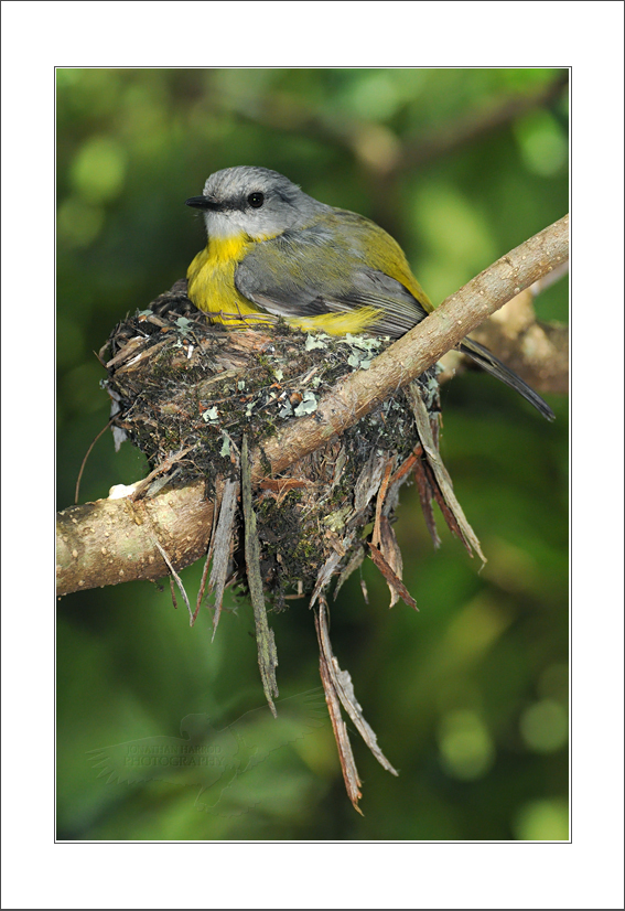 JONATHAN HARROD PHOTOGRAPHY