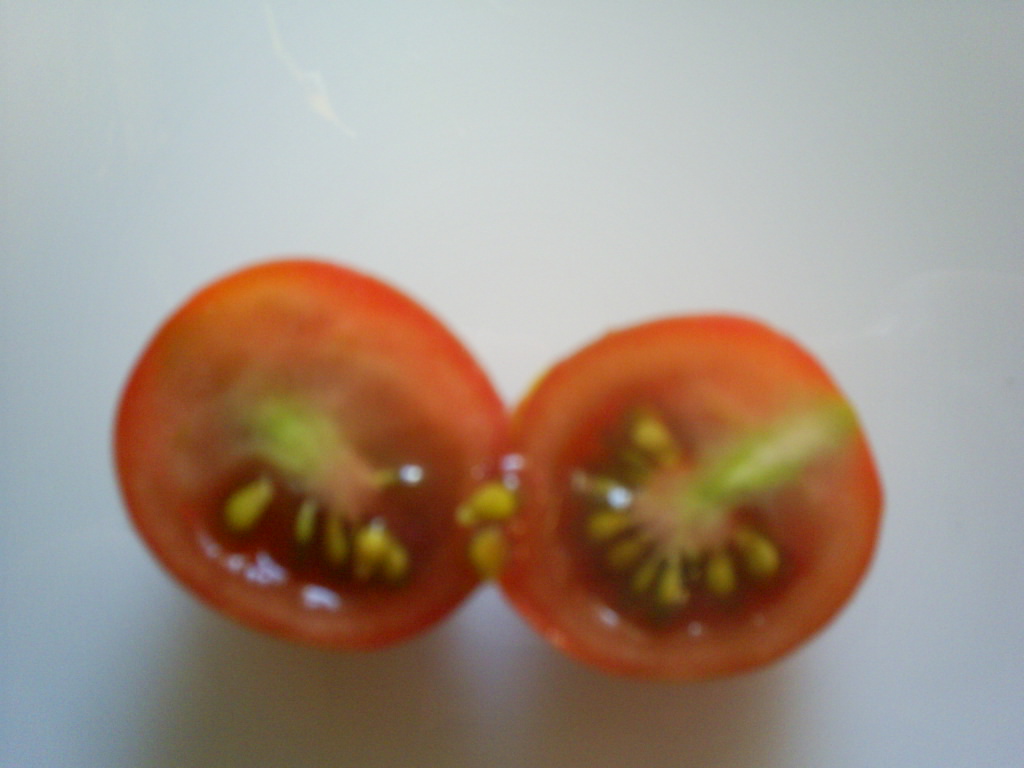 La naturaleza en casa: Como obtener semillas de tomates