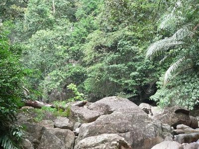 Incredible Kerala Tourism: Agasthyarkoodam | Agasthyamala- heaven for ...