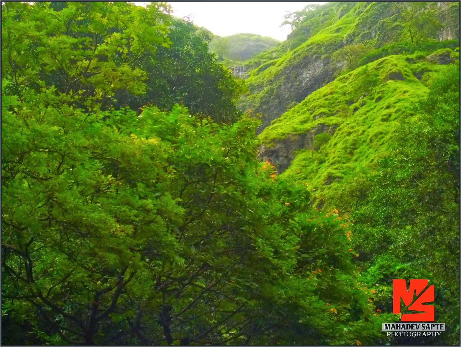 Satara - Mahabaleshwar - Pratapgad - Thoseghar -Kas Pathar & Sahyadri ...