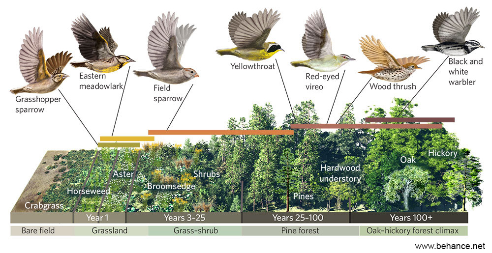 Habitat Dan Relung Ekologi