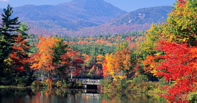 The Grammar Dance: What is the Difference Between Fall and Autumn?