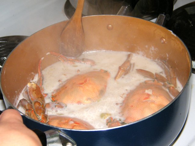 adobongblog: Ginataang Alimango (Crabs in Coconut Cream)