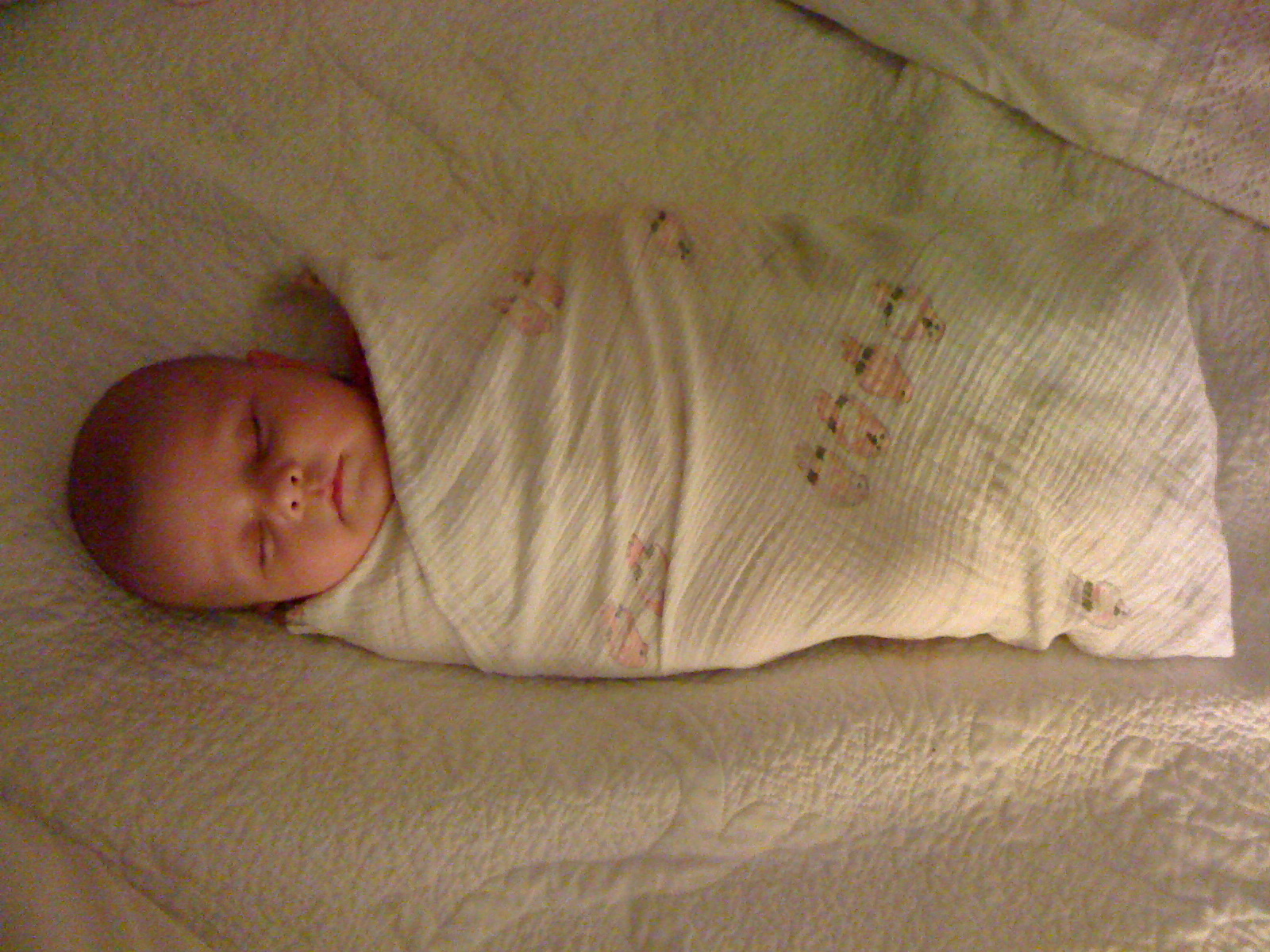 A Day in the Life of the Wood's: Baby's Best: Top Ten Most Useful Baby ...