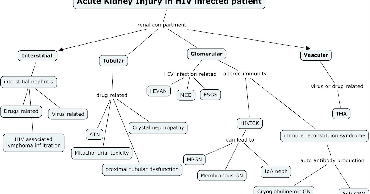 Nephron Power: Concept Map: Acute Kidney Injury in HIV