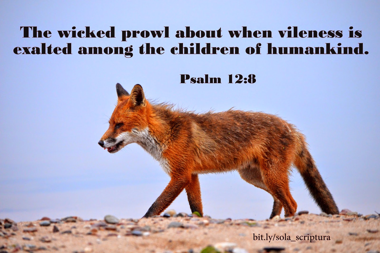 Sola Scriptura: Psalm 12:8