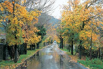 Greece-Travel-Fun: VYTINA . THE JEWEL OF MAINALOS