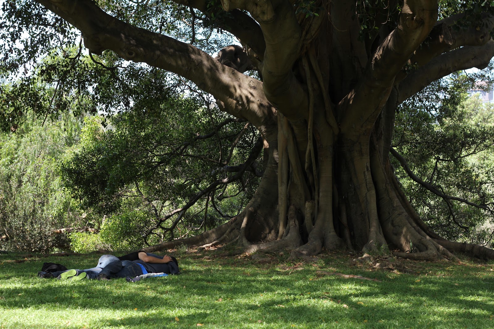 Persyl aux antipodes