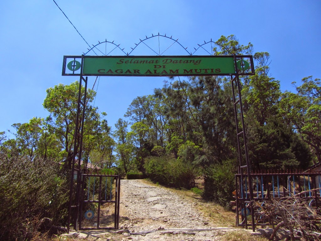 LET'S GO AROUND THE WORLD!!!: JELAJAH CAGAR ALAM GUNUNG MUTIS