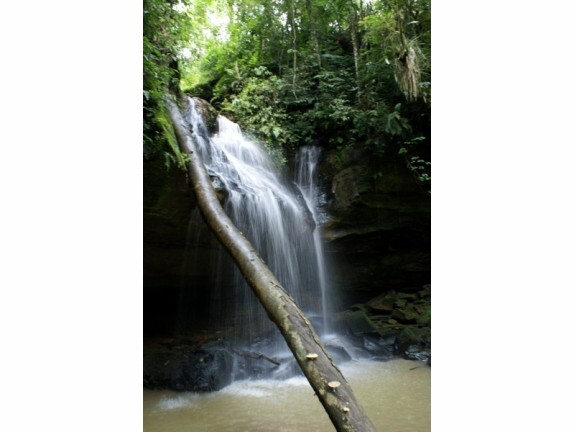 Turismo | Papanduva em Foco