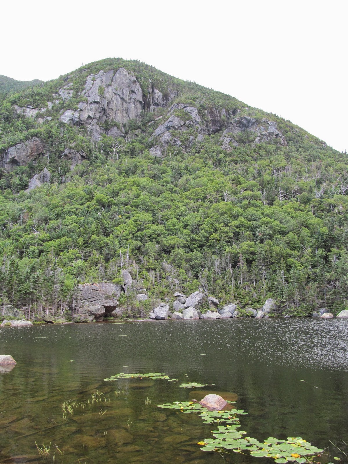 Summits and Suds: The Carter Range - NH