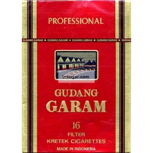 Gudang Garam Professional 16 | Online Cigarettes | Where Can I Buy | Clove