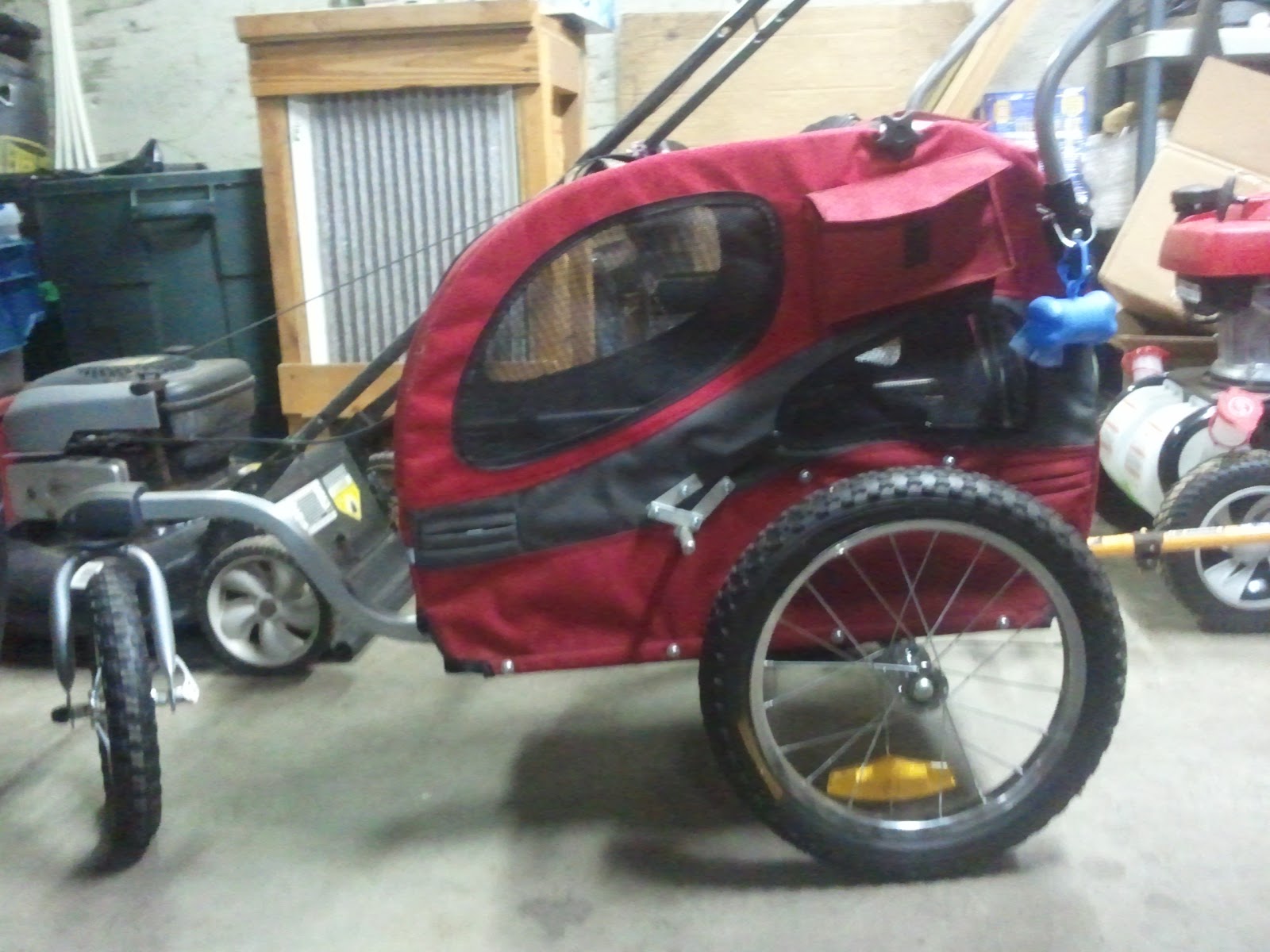 Amanda's Furry Friends