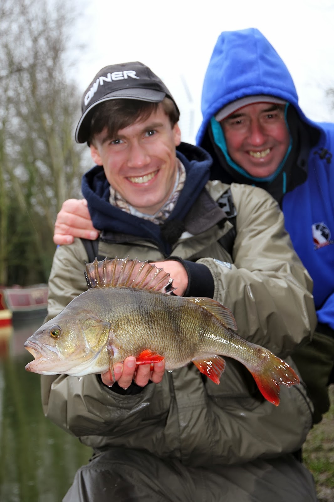 Uk Giant 4 Lb 10 Oz Perch From Essex