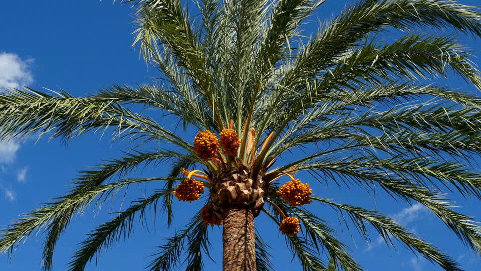 Reflexiones Cristinas!!!... Para Compartir :): EN MEDIO DEL DESIERTO ...