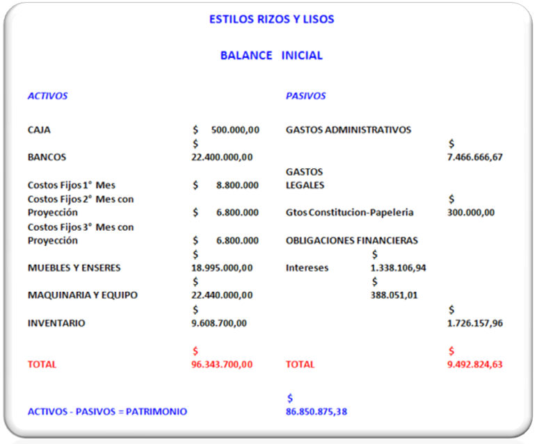 Estilos Rizos y Lisos: BALANCE INICIAL