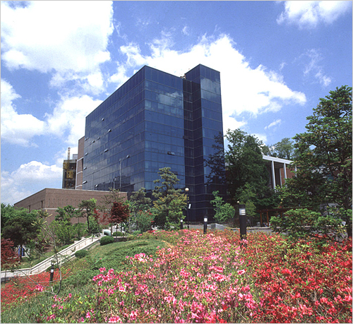 Sogang FAQ | Adventure Seoul