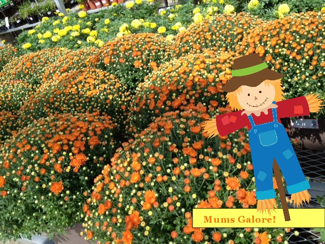 Fall Decorating at Home Depot's Garden Center | A Very Sweet Blog