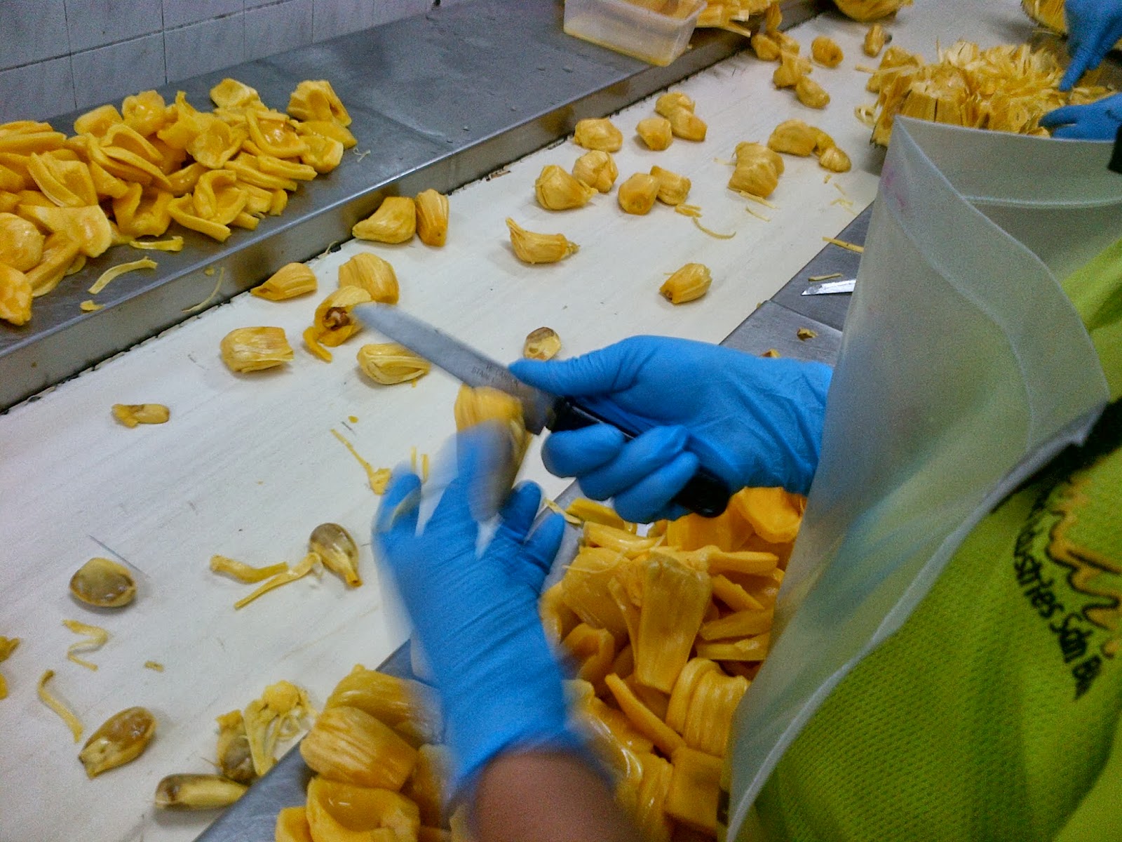 JACKFRUITS: Jackfruit Processing