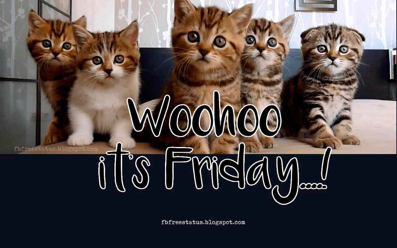 It's Friday Quotes & It's Friday Meme to be Happy on Friday Morning