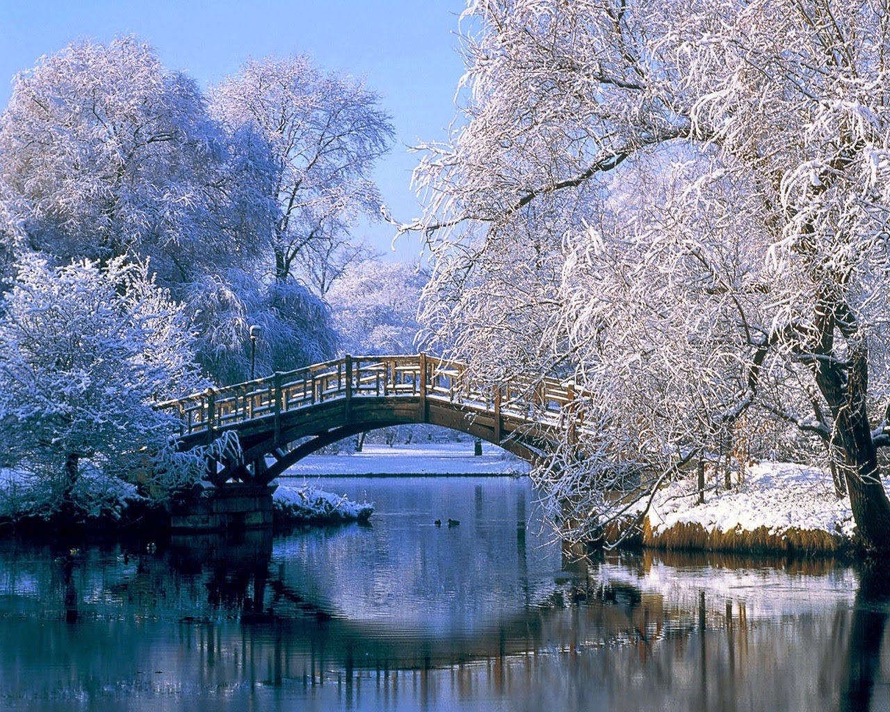 Imagenes de Invierno, parte 2 - IMÁGENES PARA WHATSAPP ® y Fotos para ...