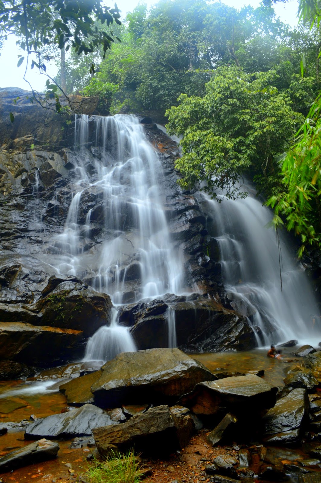 Agumbe- Capital of King Cobra & Sringeri