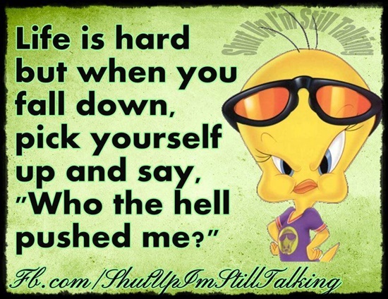 30 Best Funny Tweety Bird Quotes
