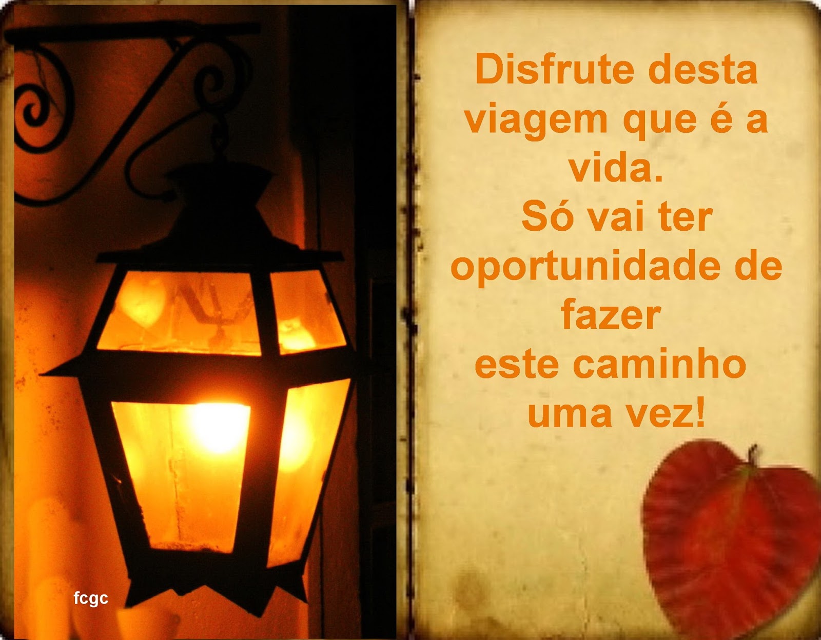 Maior de sessenta: Maiores de sessenta