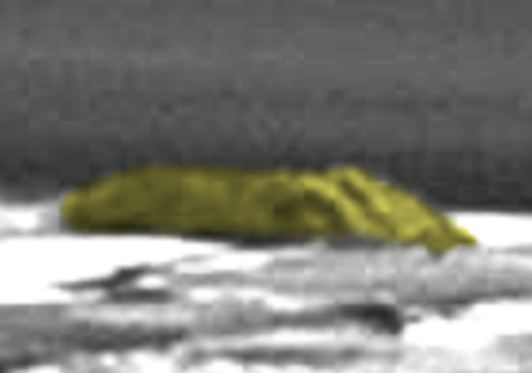 UFO SIGHTINGS DAILY: Alien Structures On Plutos Surface Show Age As ...