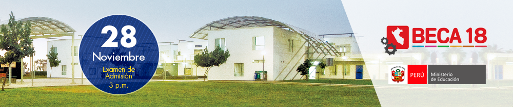 Examen de Admision Beca 18 Cientifica 2014 del 28 de Noviembre del 2014 ...