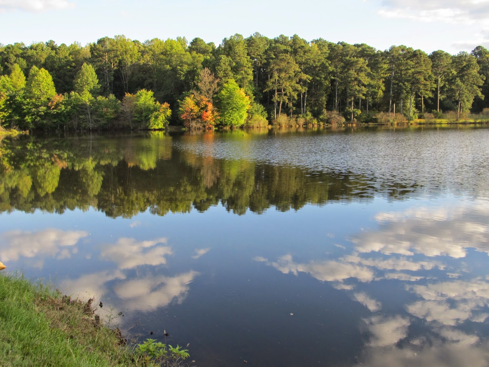 Georgia Girl With An English Heart: Alexander Lakes at Panola Mountain ...