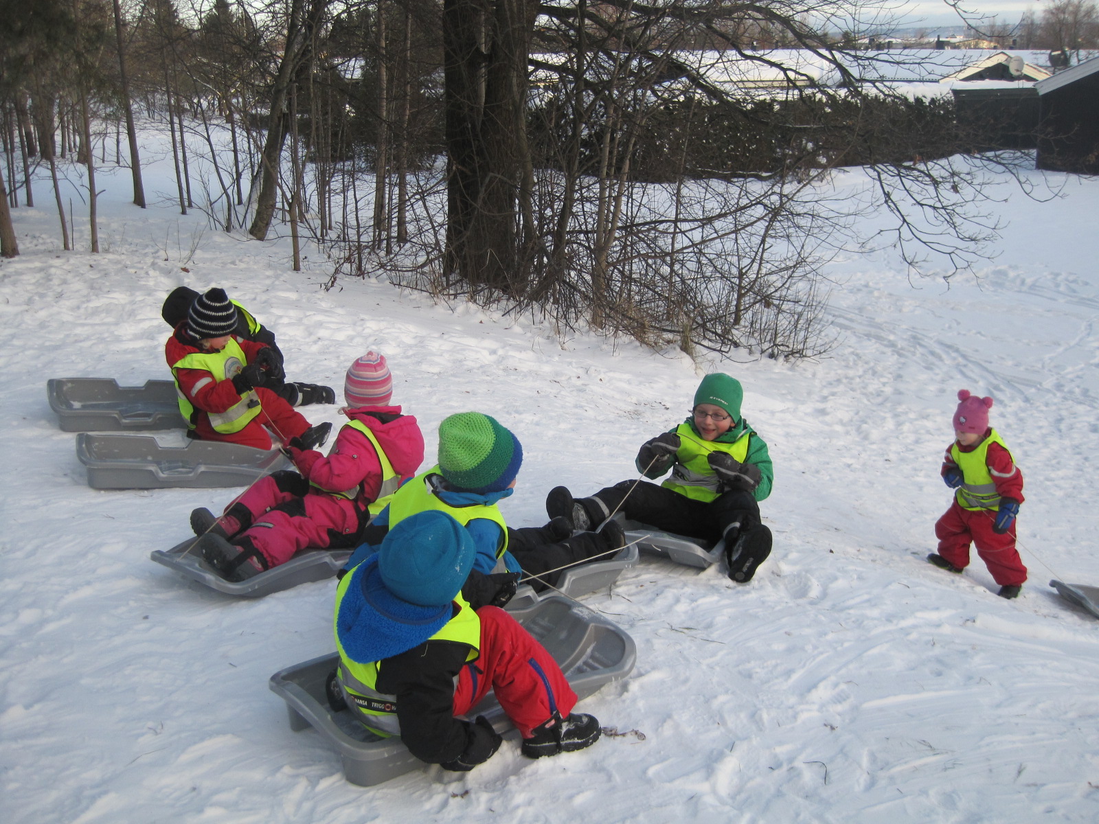 Jordgubben: Vi åker pulka!