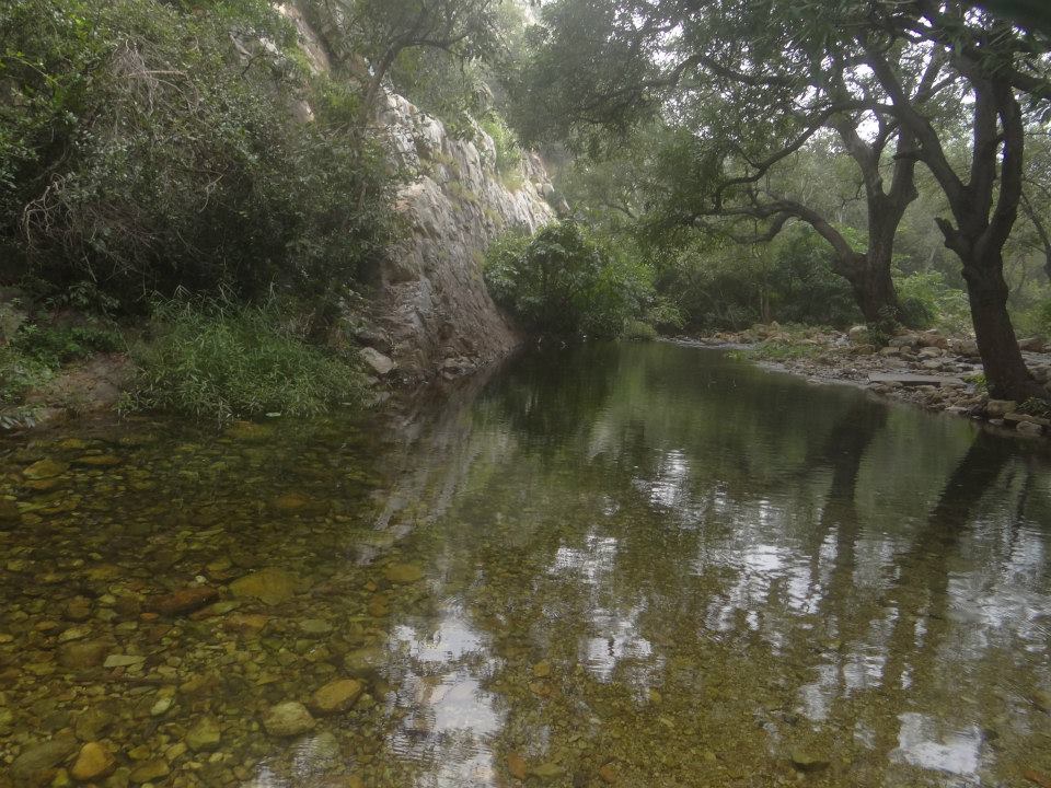 Tamilnadu Tourism: Ubbalamadugu Falls (Tada Falls)