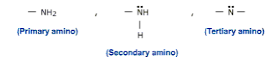 Cara Membedakan Amina Primer Sekunder Dan Tersier – iFaWorldCup.com