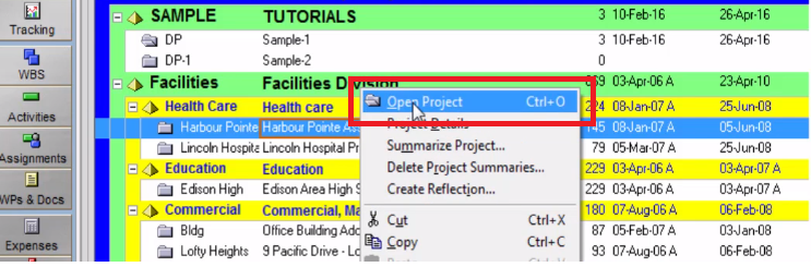 Primavera P6 Tutorial : Chapter 2.9 : Activity Codes
